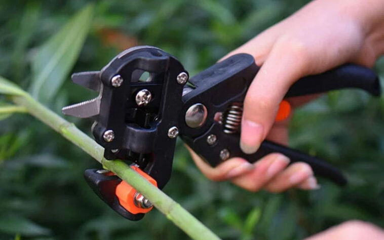 13 Gardening Tools You Can't Get A Prosperous Lawn Without