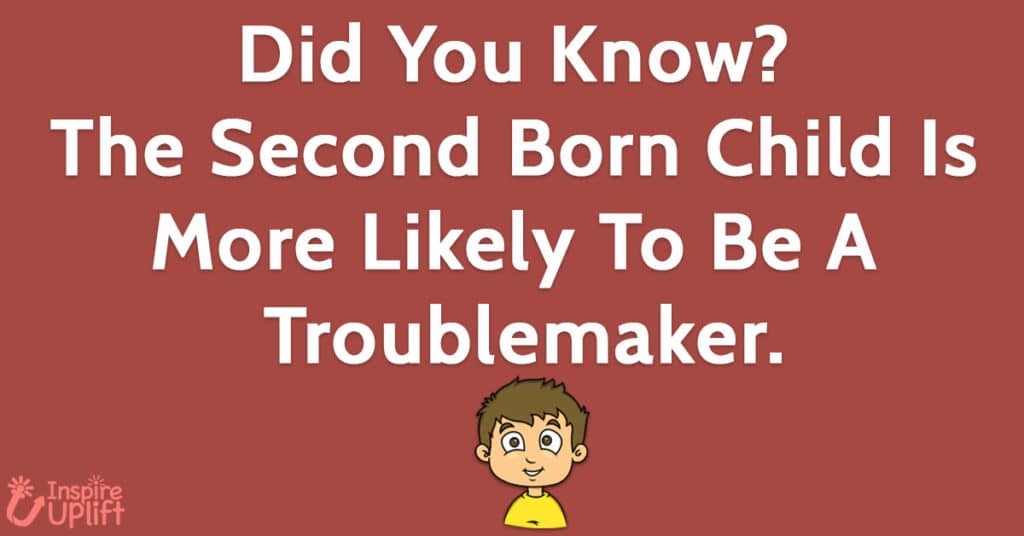 Did you know? The Second Born Child is more Likely to be a Troublemaker