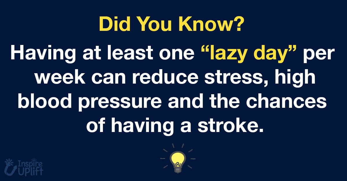 Having At Least One Lazy Day Per Week Can Reduce Stress