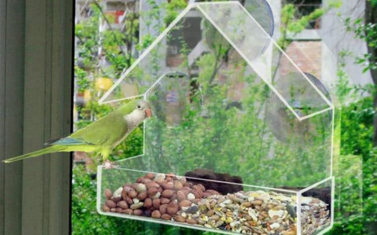 9 Best Bird Feeders for Your Feathered Friends In 2023