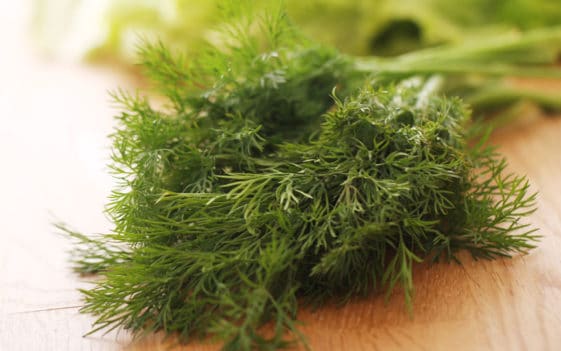 8 Tarragon Substitutes for Great Taste (20+ Recipe Ideas)