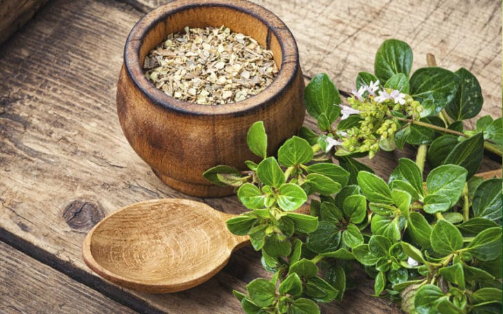 8 Tarragon Substitutes for Great Taste (20+ Recipe Ideas)