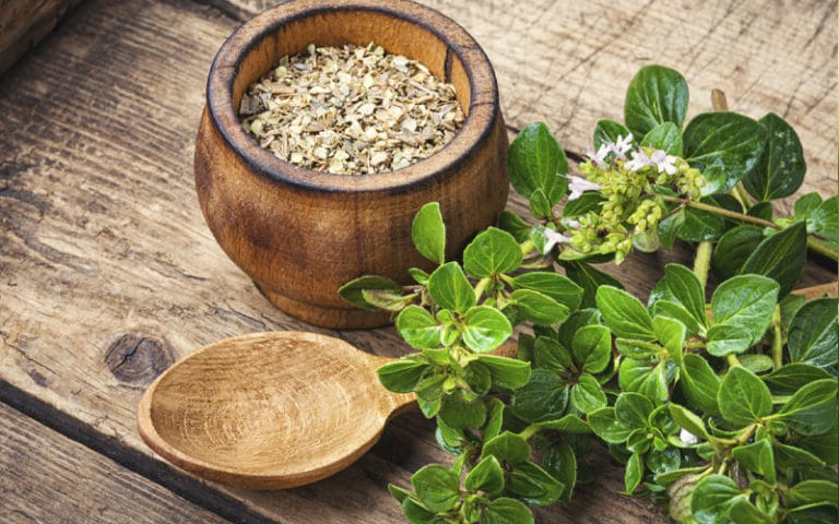 8 Tarragon Substitutes for Great Taste (20+ Recipe Ideas)