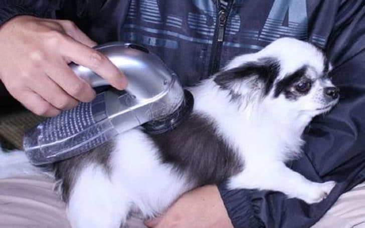 40+ Gifts For New Puppy Owners That Are WOOFingly Good