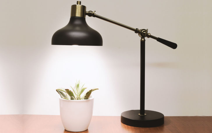 14 Lamp Types For Every Home & Office Need (With Buying Tips)