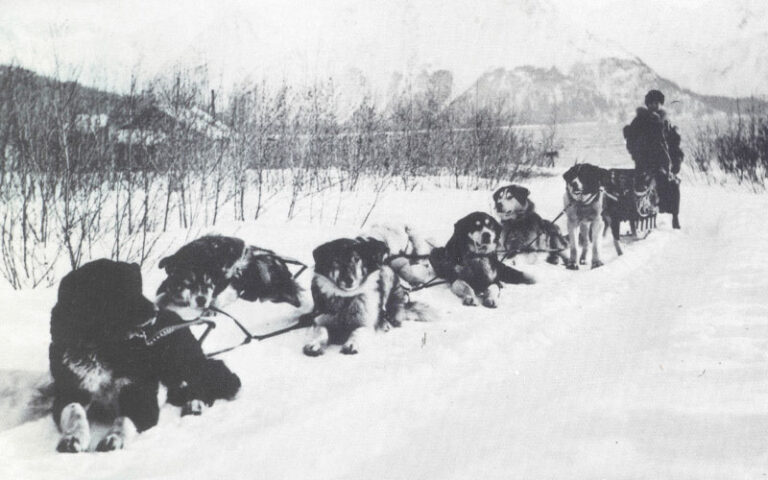 The Eight Below Tale of Sakhalin Husky Dogs – Died in the Snow (Only ...