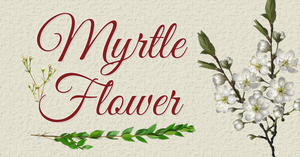 How Myrtle Flower Will Bring Peace In Your Life? 15 Facts