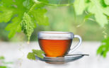 Why Should You Drink Cerasee Tea (9 Proven Health Benefits)
