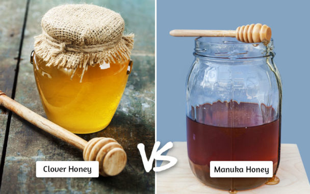 7 Reasons Why Clover Honey Is The Only Honey You Need