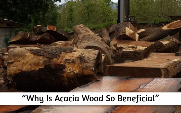 Ignoring These 9 Acacia Wood Properties Can Cost You Badly