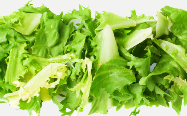 6 Reasons Why Cats Can Eat Lettuce (With 4 Feeding Ways)