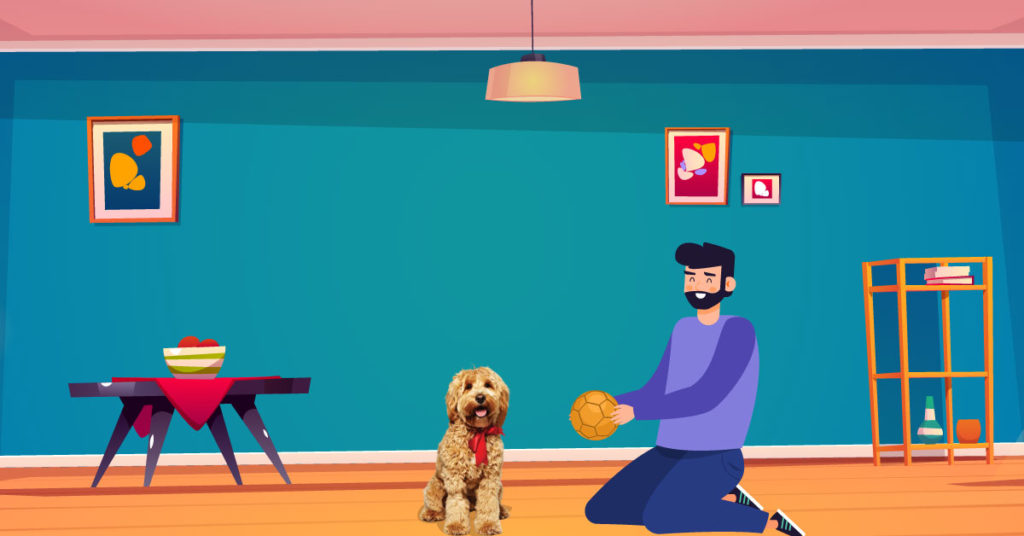 14 Cavoodle Details You Can't Afford to Miss (Full Guide)