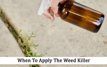 4 Tested DIY Weed Killer Recipes (Results in 8-24h)