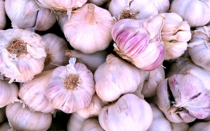 7 Facts No one Will Tell You About The Purple Garlic