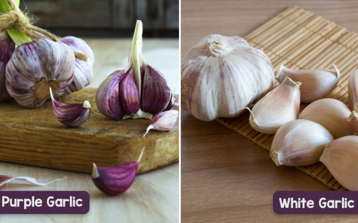 7 Facts No one Will Tell You About The Purple Garlic