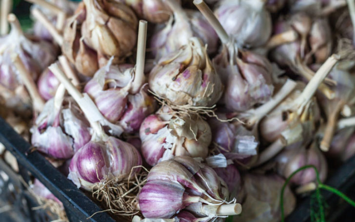7 Facts No one Will Tell You About The Purple Garlic