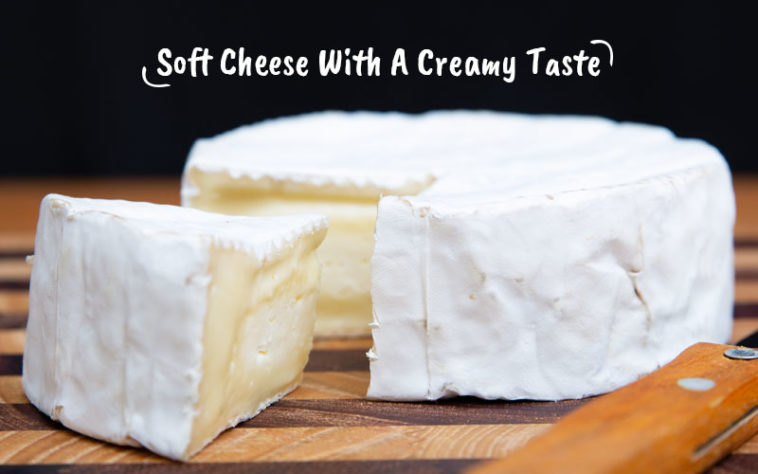 15 Types of cheese You Must “Cheese Down” Your Stomach – Helping ...