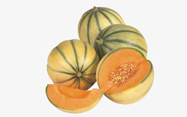 19 Types of Melons - Which One Have You Been Eating?
