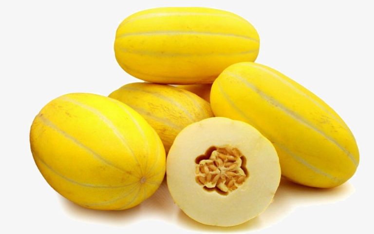 19 Types of Melons - Which One Have You Been Eating?