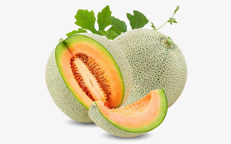 19 Types of Melons And What Is Distinctive About Them – Helping ...