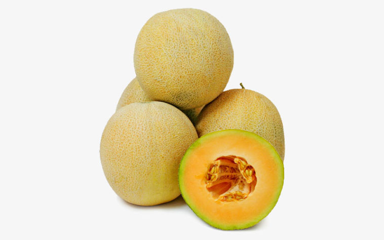 19 Types of Melons - Which One Have You Been Eating?