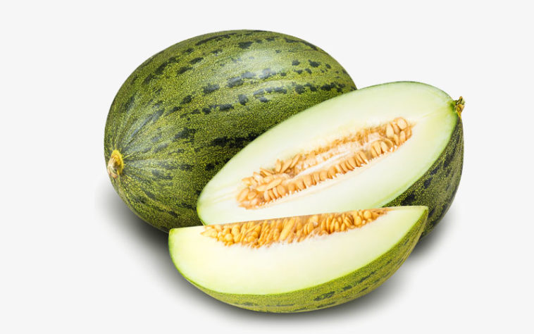 19 Types of Melons - Which One Have You Been Eating?