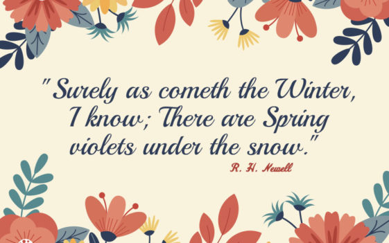 210+ Special February Quotes, Poems & Sayings About You, Snow ...