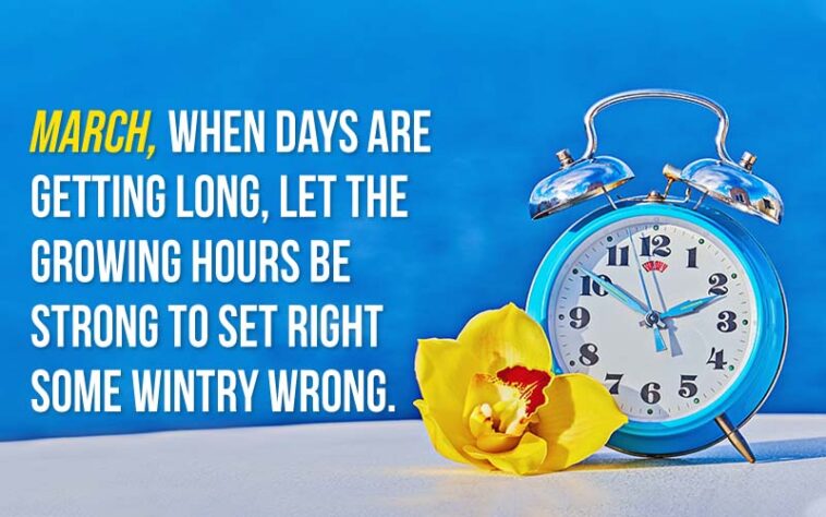 100+ Fresh March Quotes, Sayings, Poems, Wishes & Ideas for Calendars ...