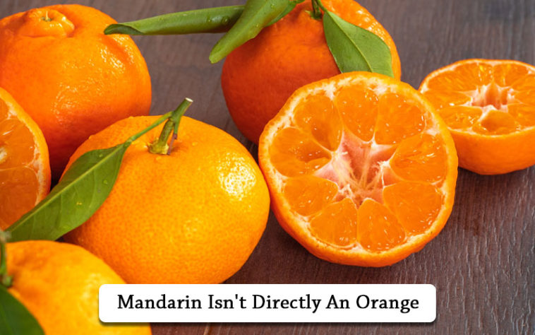 10 Tastiest orange types to eat raw, cooked, or in Desserts