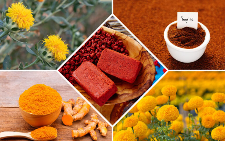 7 Saffron Substitute You Can Use For Perfect Taste & Color