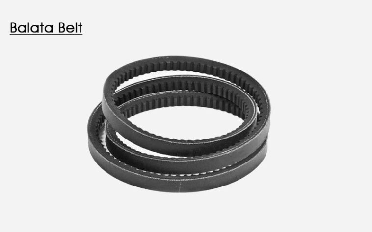 48 Fashionable Belts & Buckle Names You Might Not Know