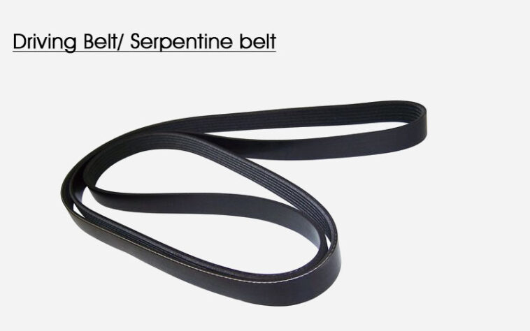 48 Fashionable Belts & Buckle Names You Might Not Know