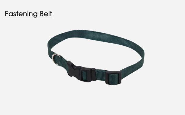 48 Fashionable Belts & Buckle Names You Might Not Know
