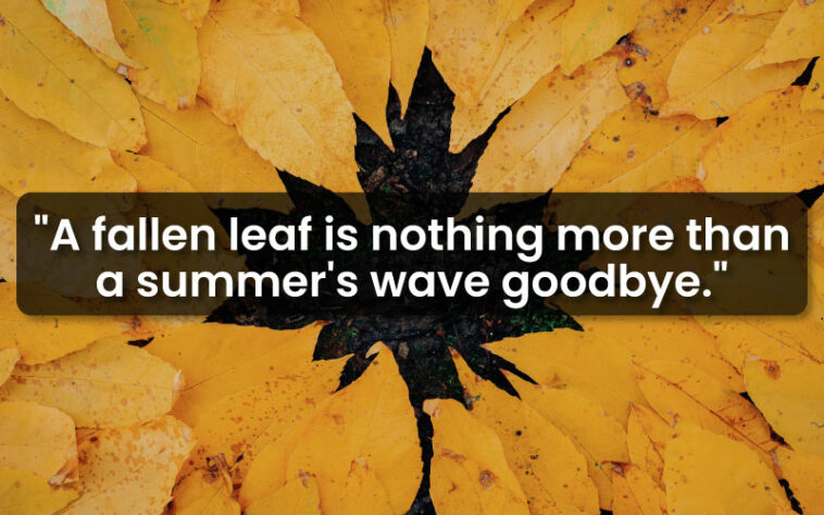 150+ October Quotes, Sayings, Wishes & Dialogues To Make Your Fall ...