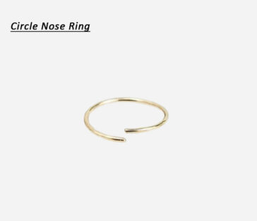 16 One-of-a-kind Nose Ring Designs & Proper Piercing Guide