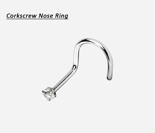 16 One-of-a-kind Nose Ring Designs & Proper Piercing Guide