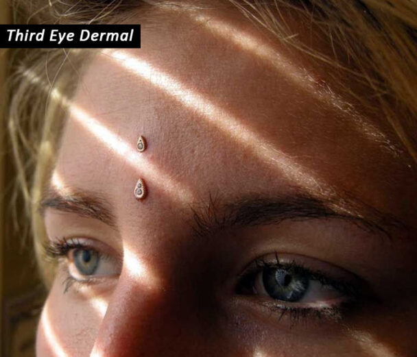 16 One-of-a-kind Nose Ring Designs & Proper Piercing Guide