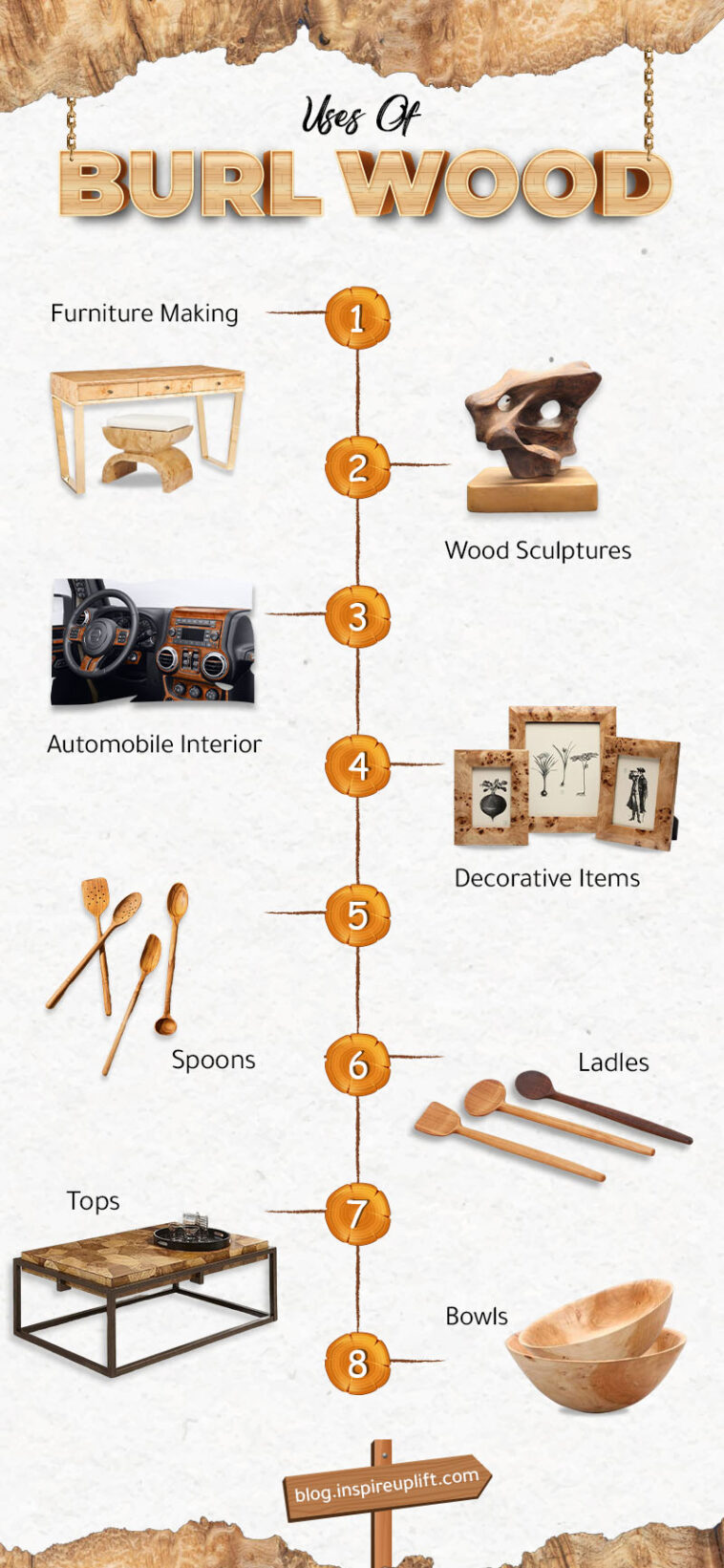 All About Burl Wood | Characteristics, Types, Cost & Uses