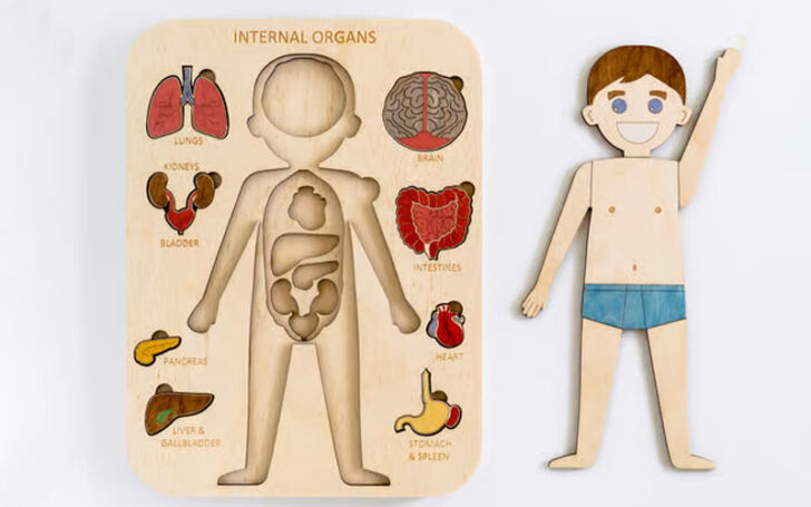 59 Best Gifts For Medical Students And Future Doctors