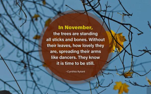 140+ November Quotes, Wishes And Sayings From An Eye Of An Autumn Lover
