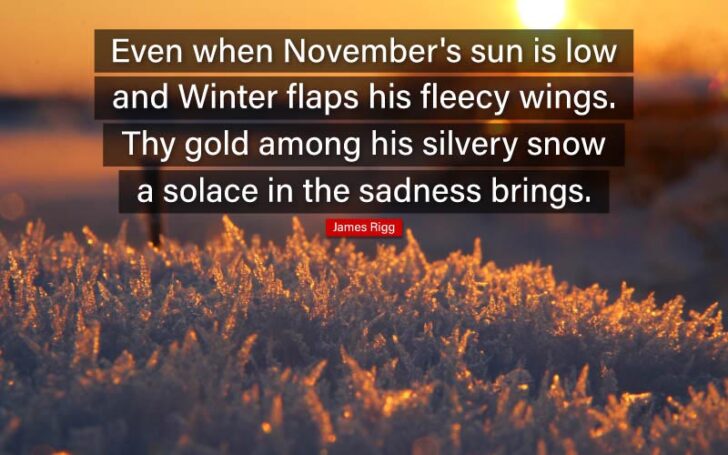 140+ November Quotes, Wishes And Sayings From An Eye Of An Autumn Lover