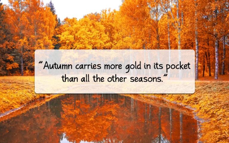 140+ November Quotes, Wishes And Sayings From An Eye Of An Autumn Lover