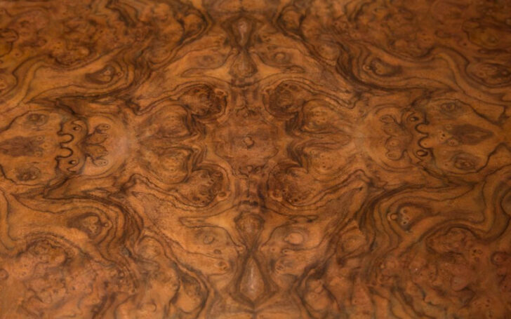 All About Burl Wood | Characteristics, Types, Cost & Uses