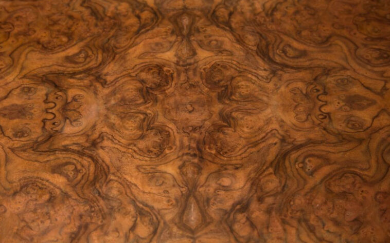 All About Burl Wood | Characteristics, Types, Cost & Uses