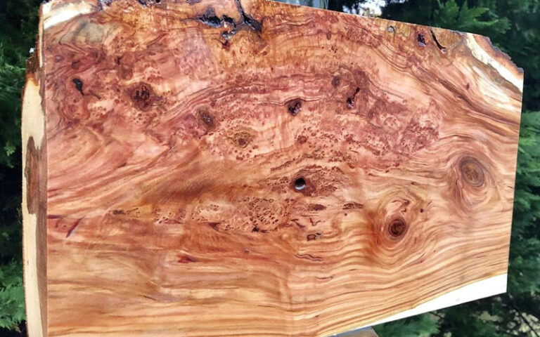 All About Burl Wood | Characteristics, Types, Cost & Uses