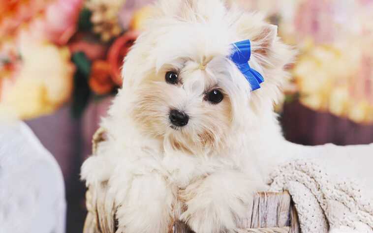 Top 12 Queries That Will Vanish Out All the Confusions in Your Mind ...