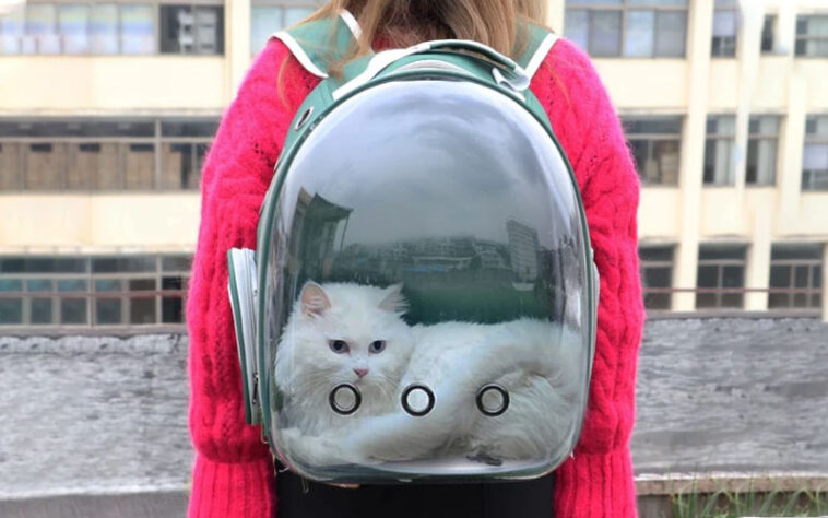 Assist Mums with life savior 9 best backpacks for moms