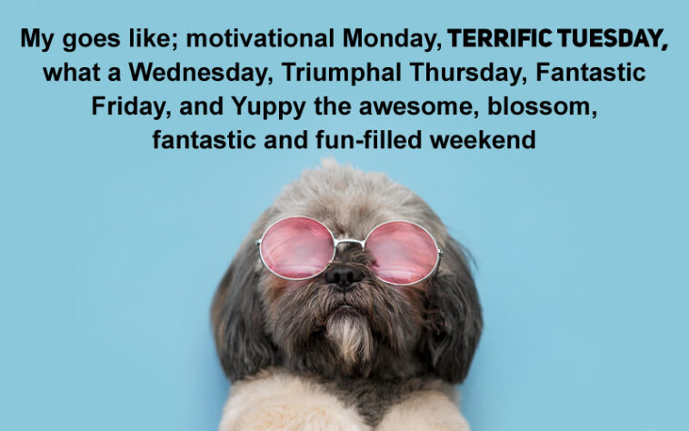 250 Freshly Made Tuesday Quotes & Blessings With Images