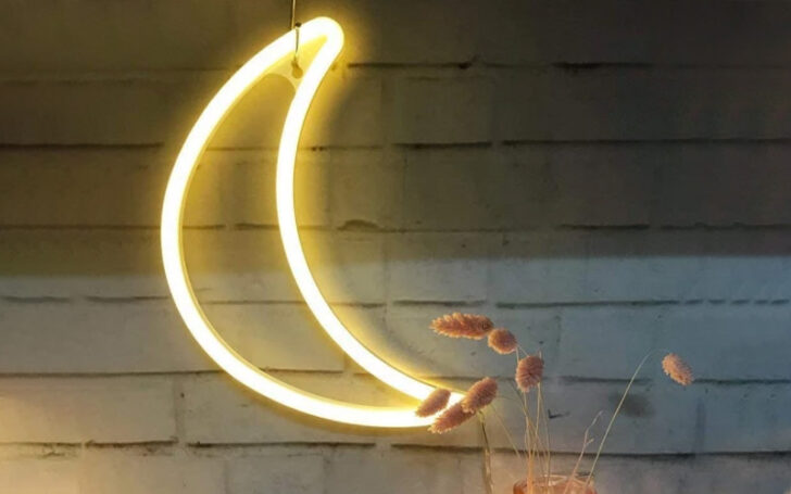 18+ Startling Gifts For Moon Lovers To Send Them To The Moon