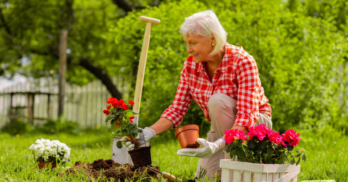15+ Gardening Tools For Seniors To Bring Ease To Their Lives